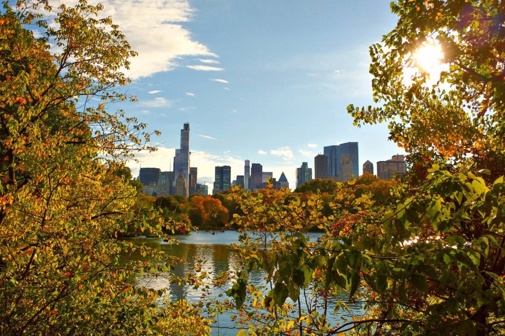 How to Enjoy NYC in an Environmentally Conscious Way : New York Habitat ...