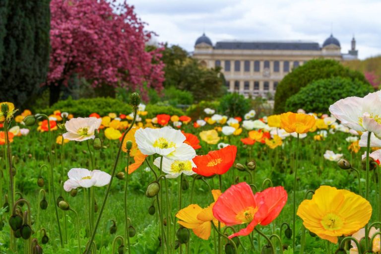 7 Ways to Enjoy Paris in the Spring - New York Habitat Blog